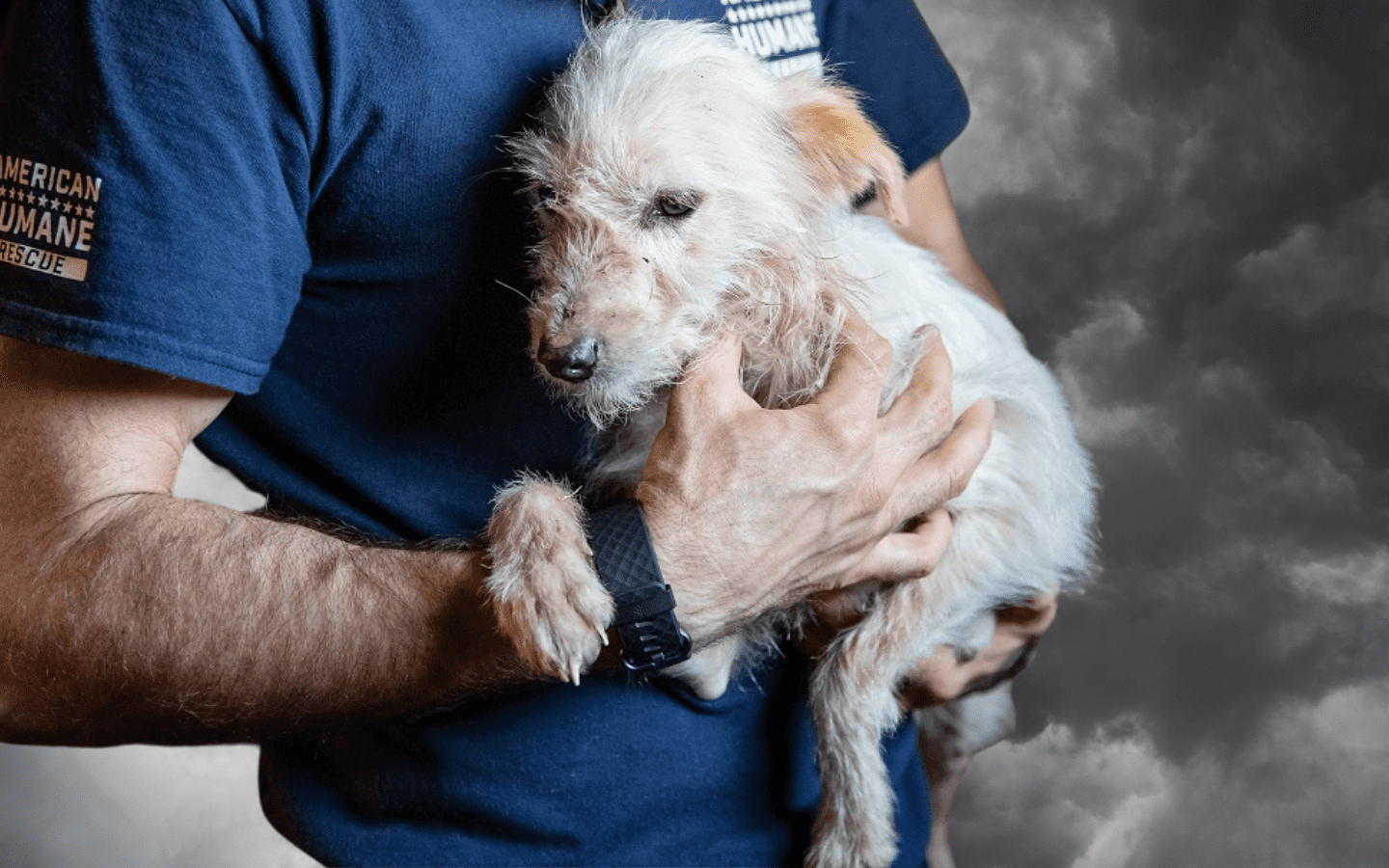 Pet Disaster Preparedness - American Humane Society