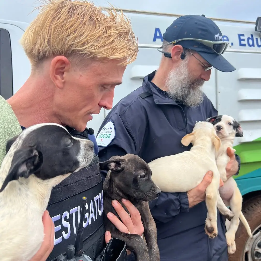 Animal Rescue Statistics & Deployments | American Humane