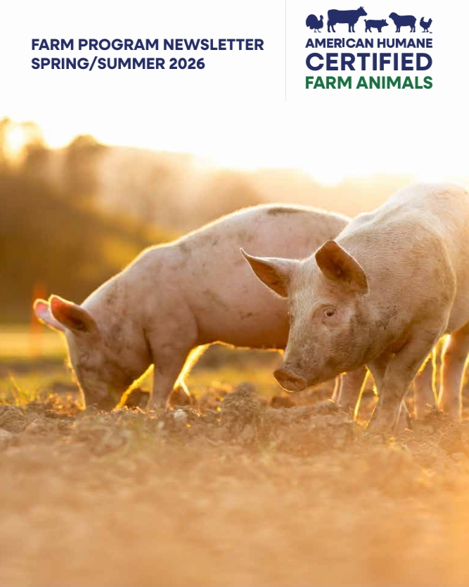 Spring & Summer 2025 Farm Newsletter - American Humane Society