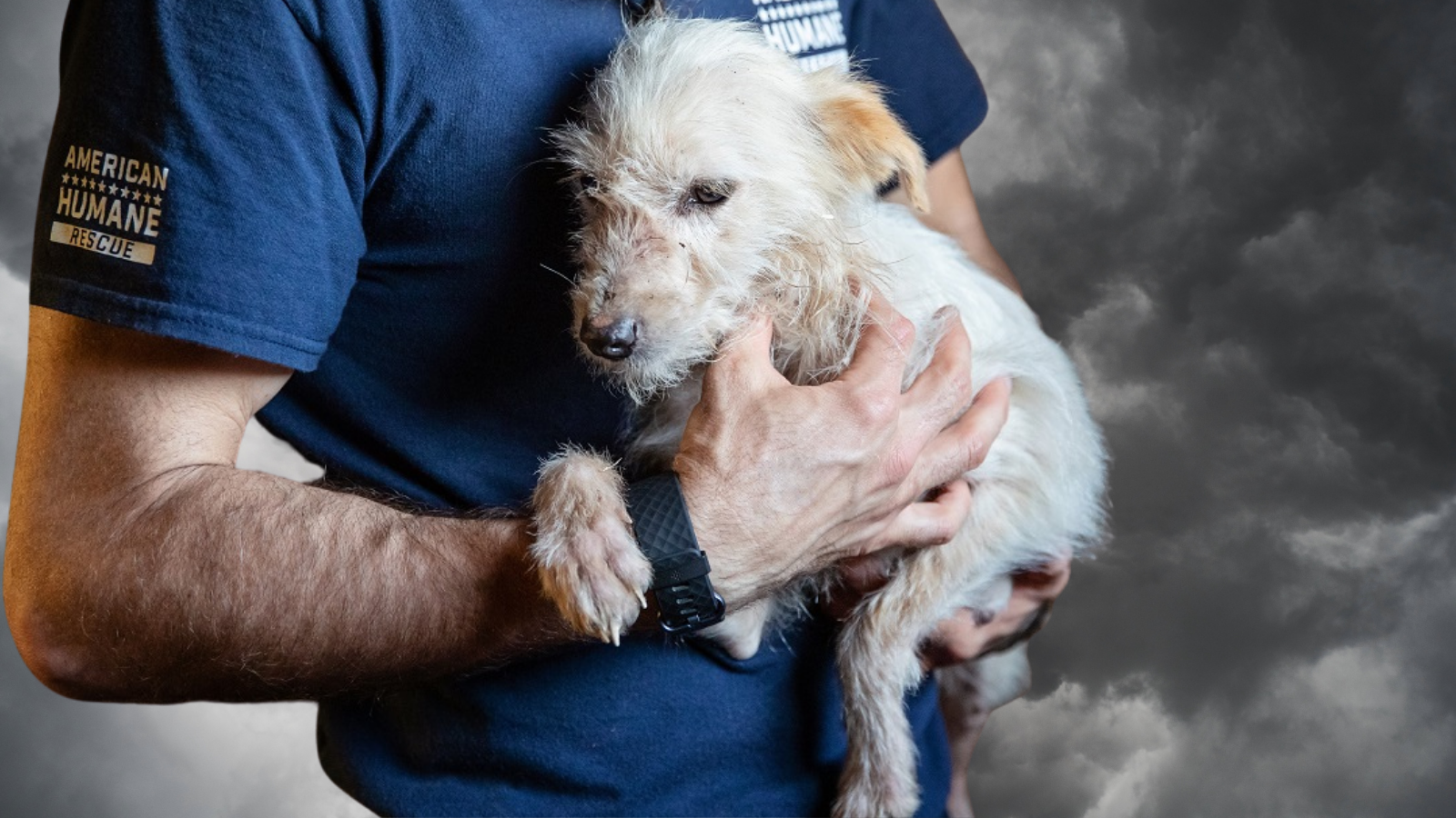 Animal Shelter Euthanasia - American Humane Society