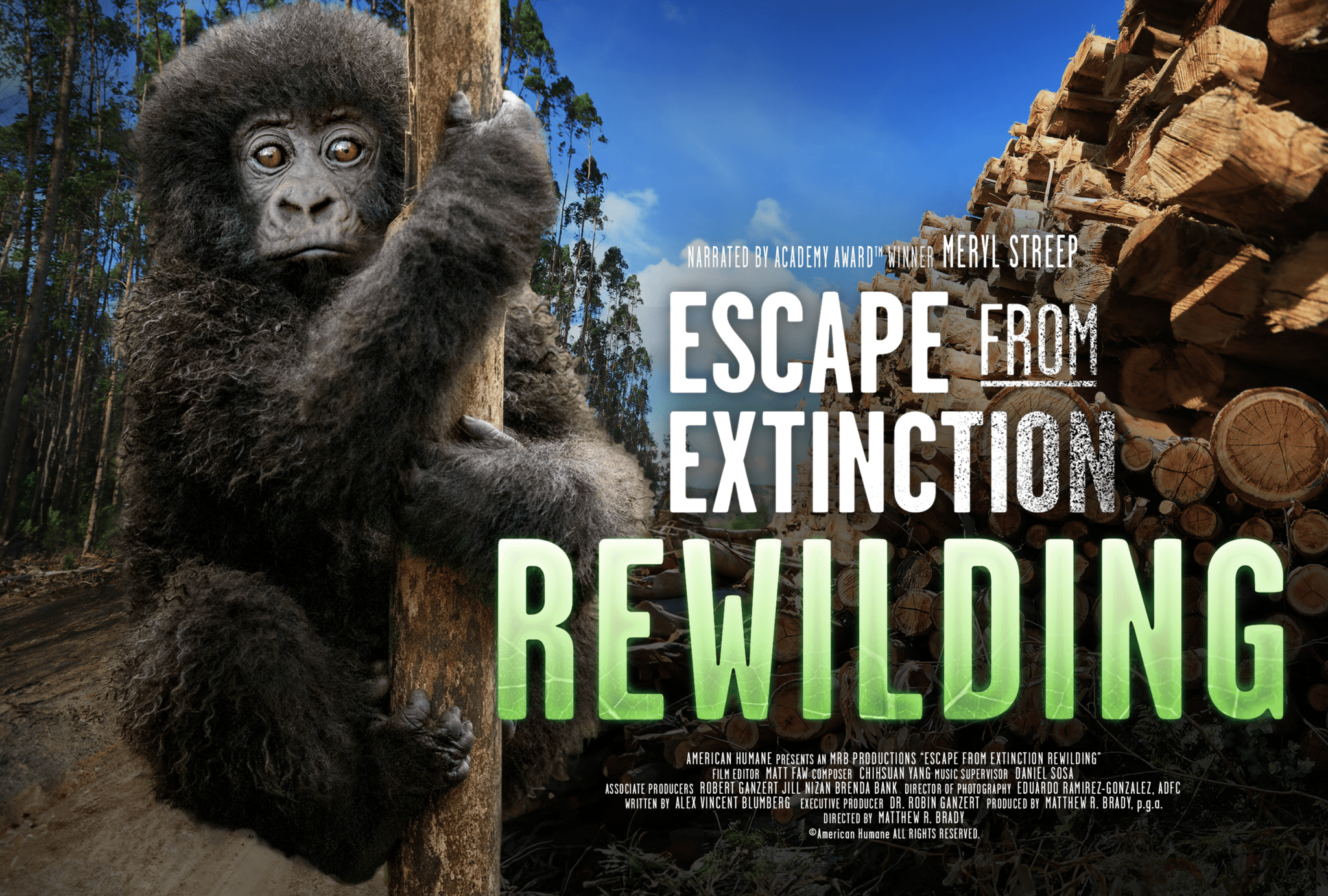 Animal Shelter Euthanasia - American Humane Society