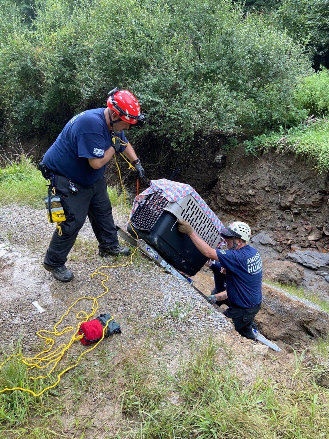 Rescue and Protect - American Humane Society