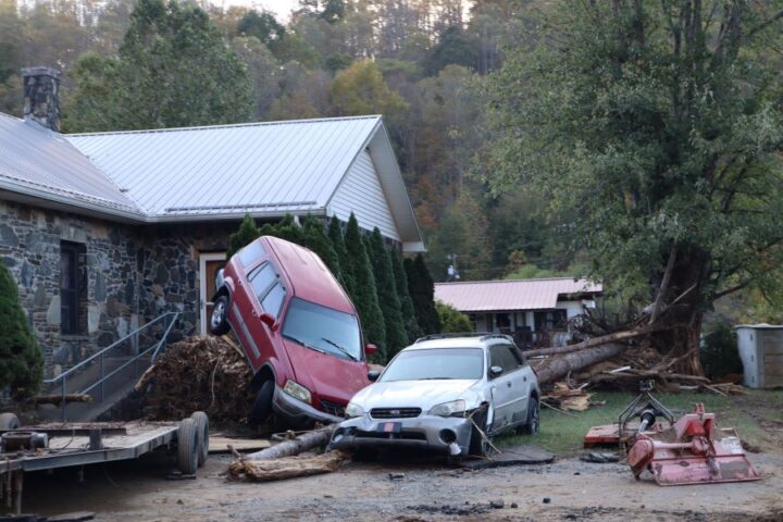 A Lifeline in the Storm: Our North Carolina Animal Rescue Efforts ...