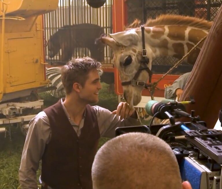 Certify Humane Treatment - American Humane Society