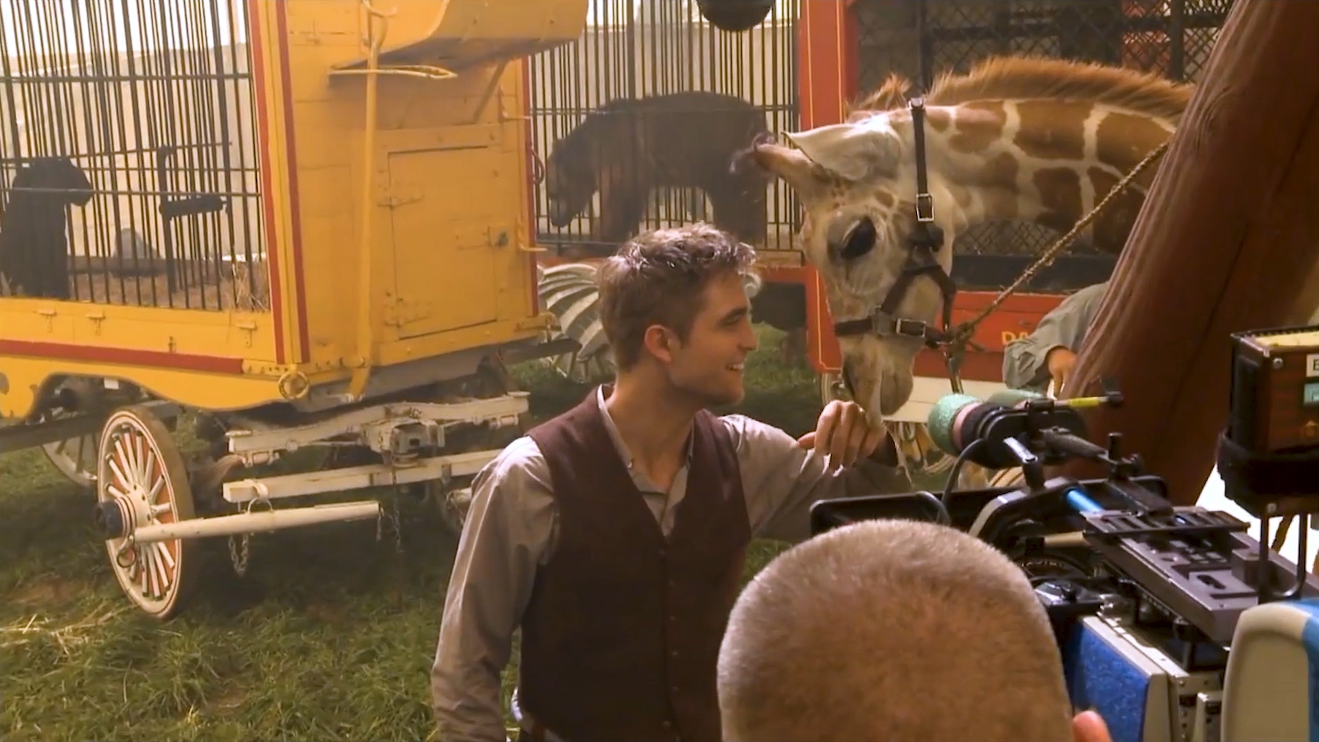 What We Do - American Humane Society