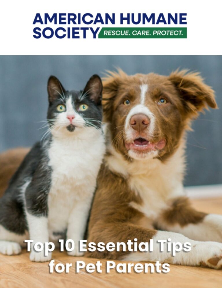 Vaccinating Your Pet - American Humane Society