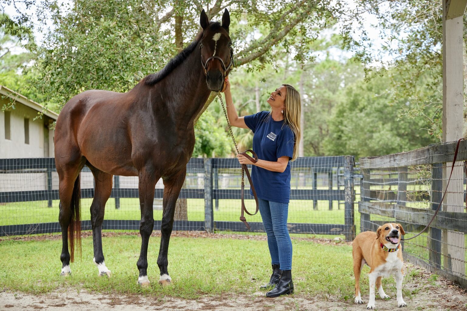 About Us - American Humane Society