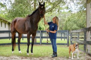 About Us - American Humane Society