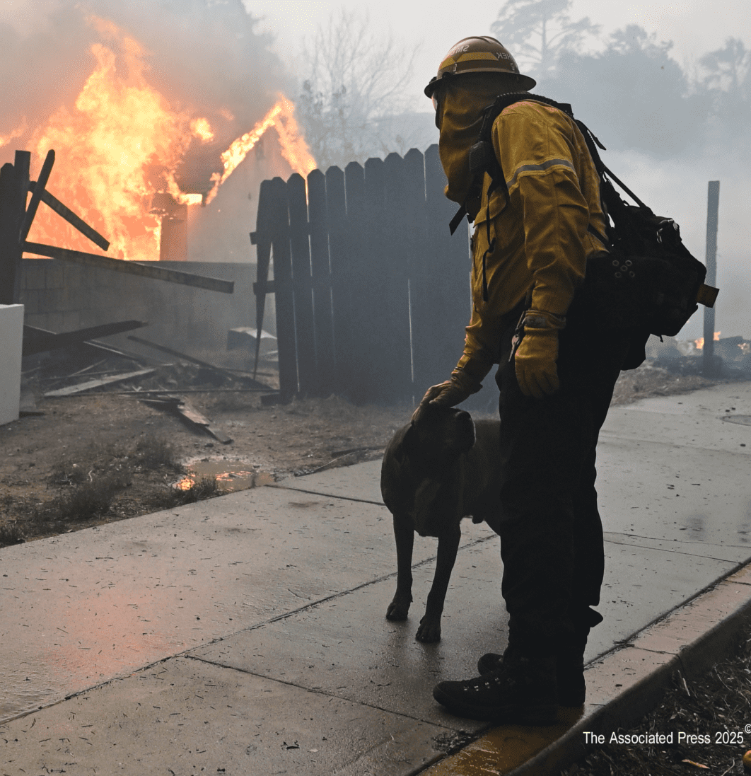 Wildfire Pet Preparedness and Protection - American Humane Society