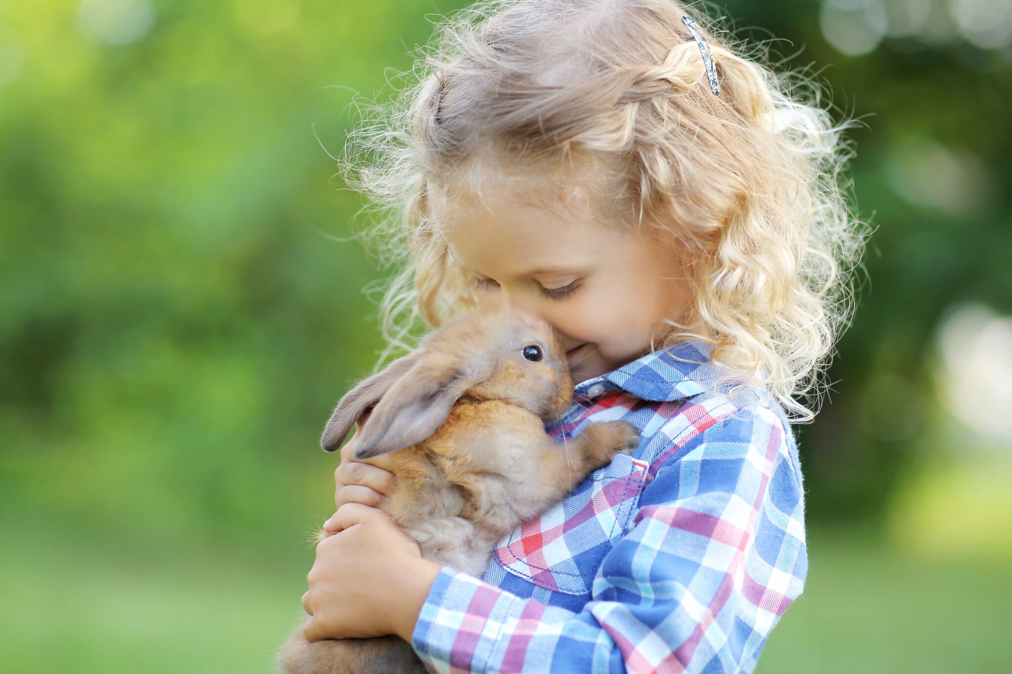 10 Small Acts of Kindness for Animals - American Humane Society
