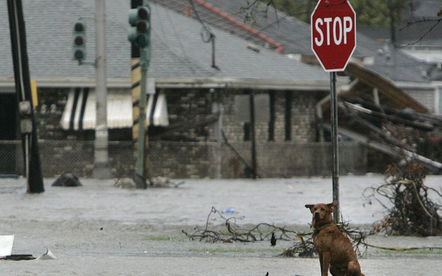Remembering Hurricane Katrina: 20 Years Later and Still Fighting for ...