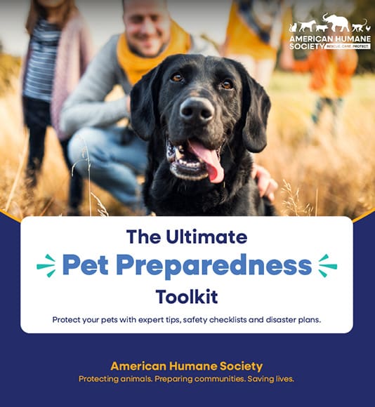 Pet Preparedness Toolkit Free Checklists and Disaster Tips