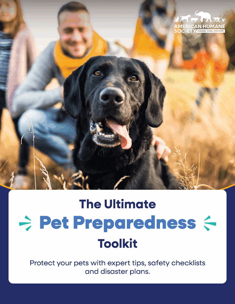 Pet Disaster Preparedness - American Humane Society