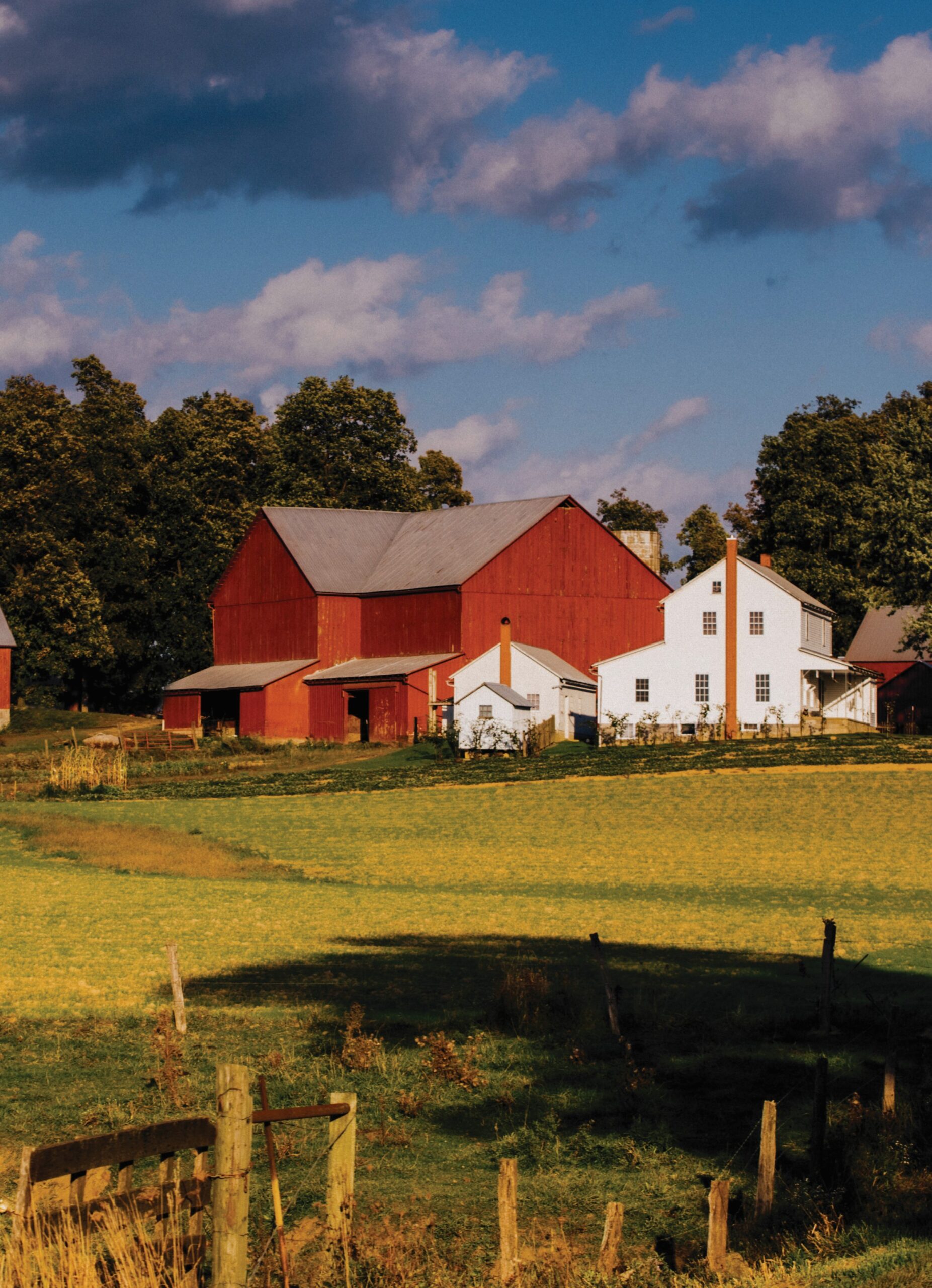 25 Years of American Humane Society Transforming Farm Animal Welfare ...