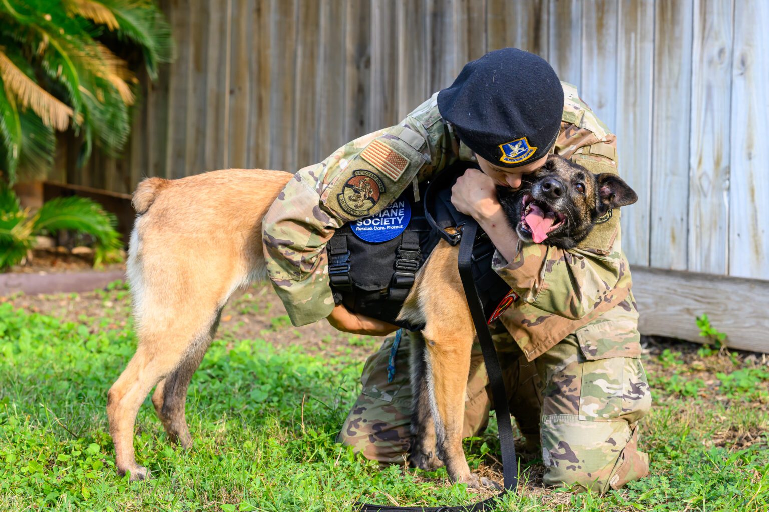 Introducing the Next Era for American Humane - American Humane Society