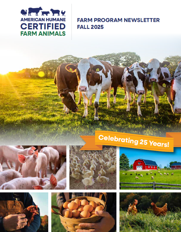 Understanding Egg Labels at the Grocery Store - American Humane Society