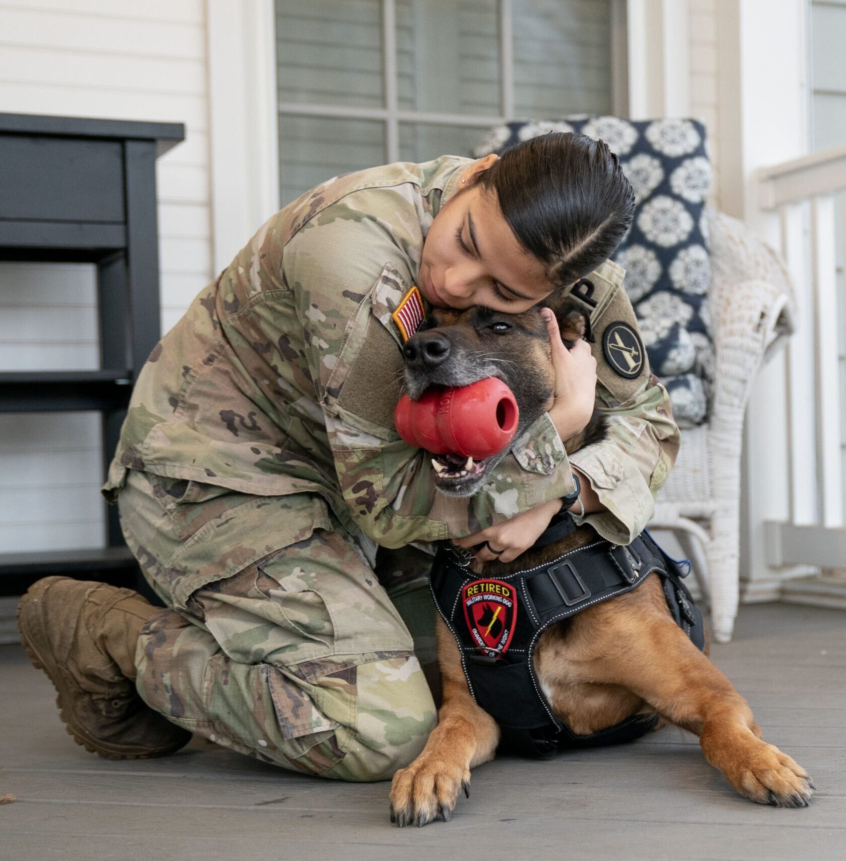 Home for the Holidays: Military Working Dog Darco’s Journey Back to His ...