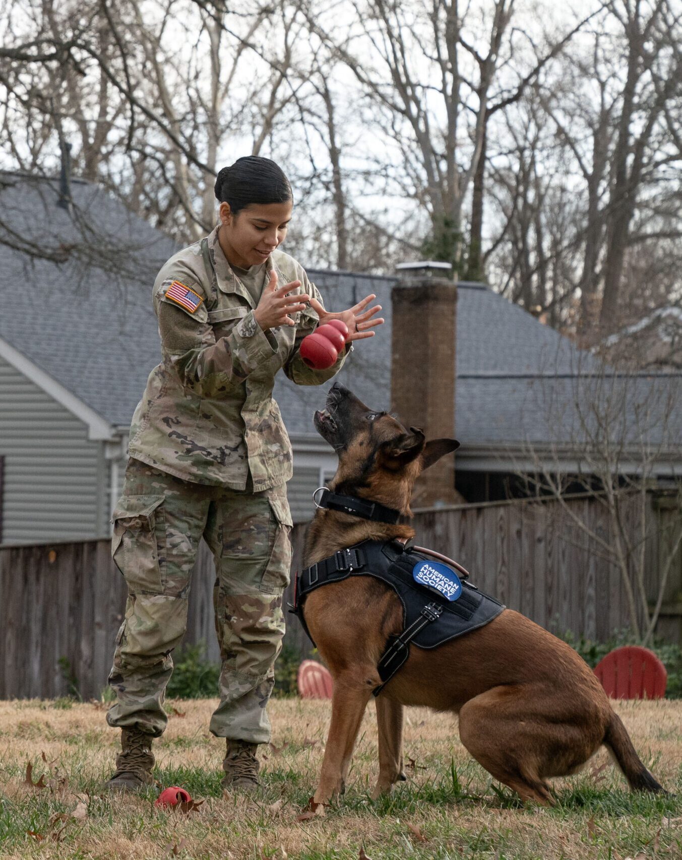 Home for the Holidays: Military Working Dog Darco’s Journey Back to His ...