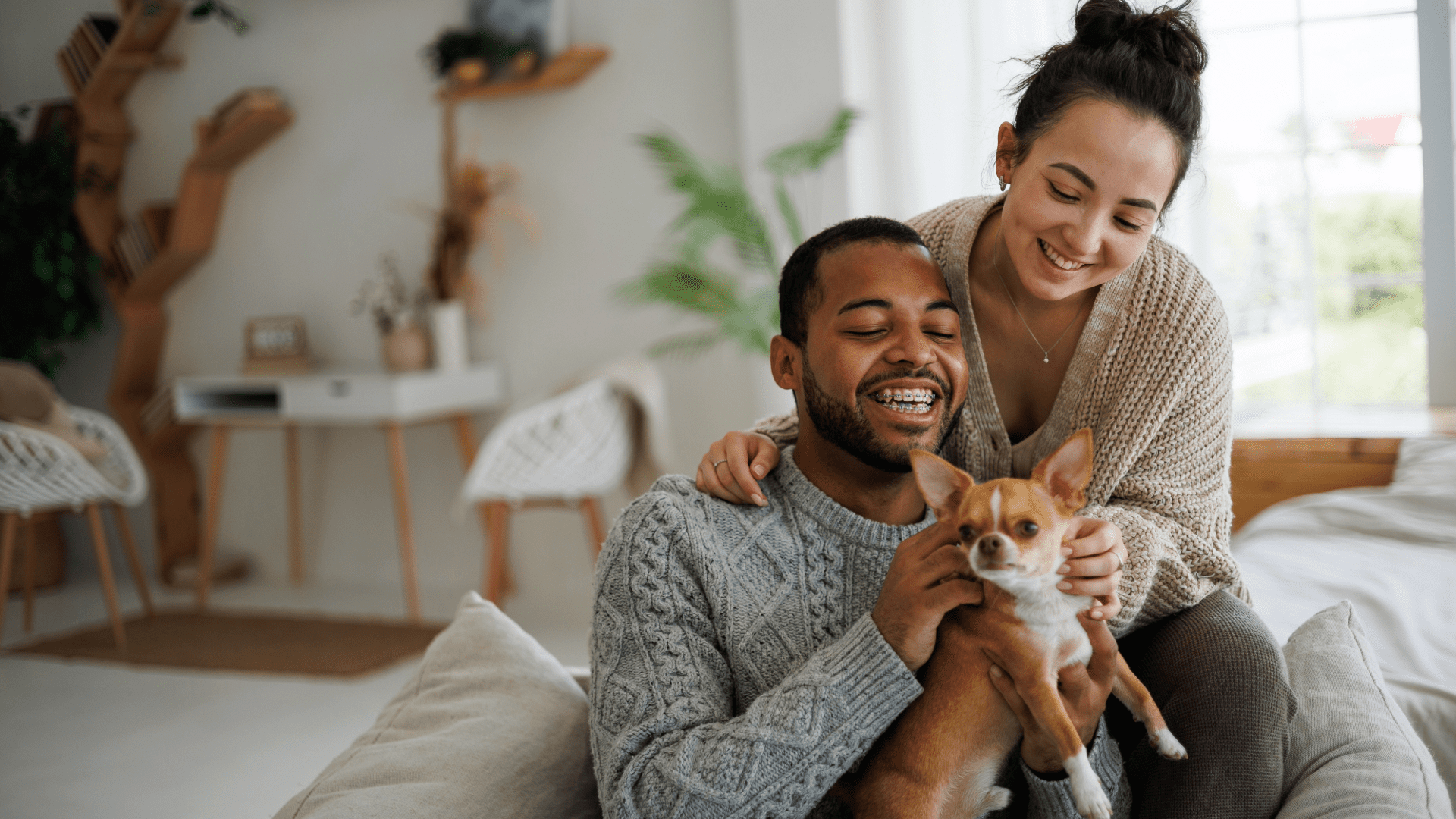 10 Small Acts of Kindness for Animals - American Humane Society