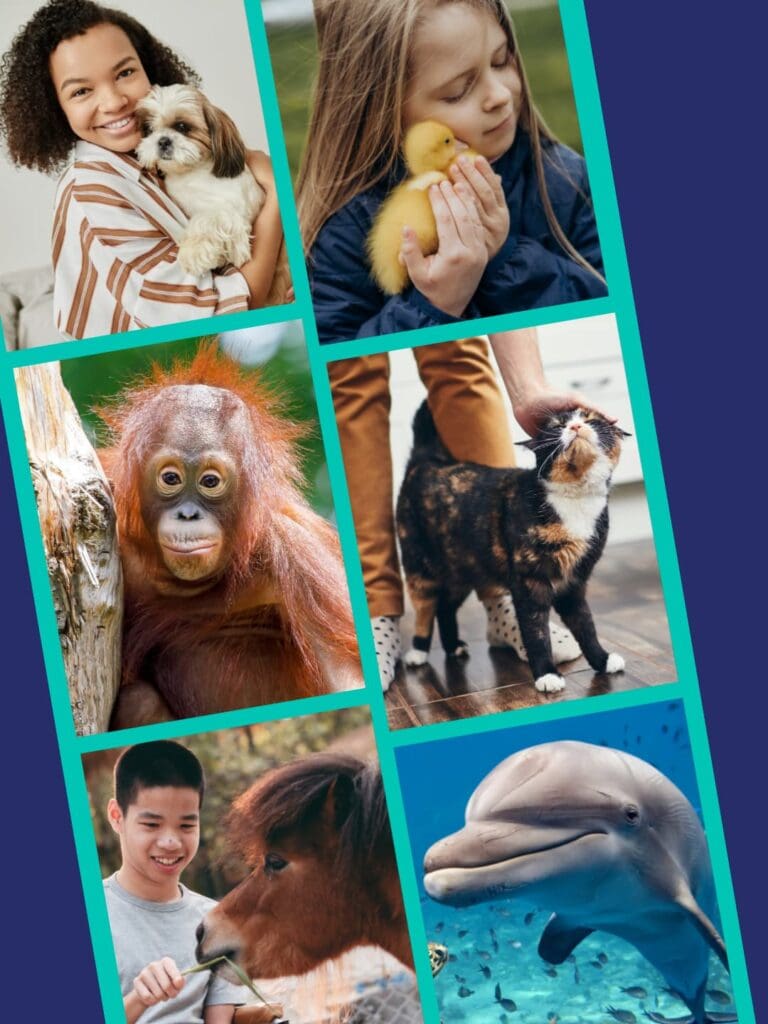 Farms - American Humane Society