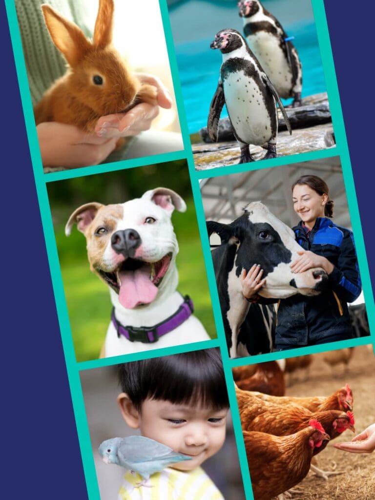 Farms - American Humane Society